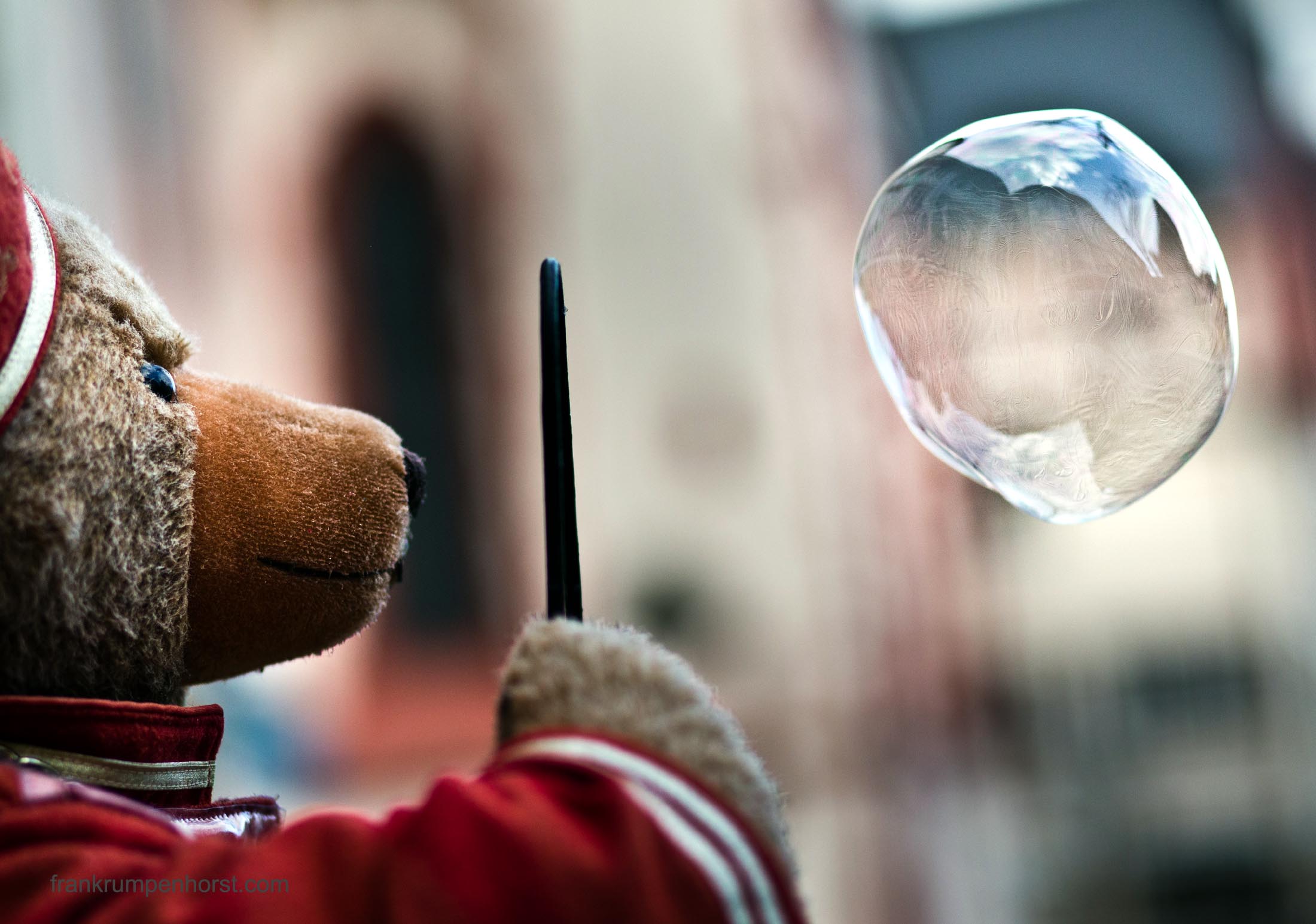 Bubble Bear | FranksFrankfurt - Daily Sidebars